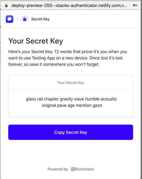 Ensure Page View Trigger When Going Back To View Secret Key · Issue