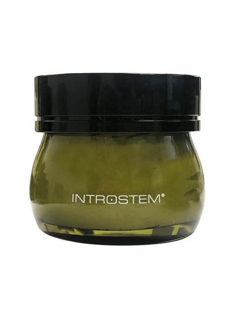 Transforming Collection Archives Introstem