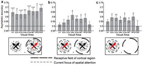 Visual Attention The Past 25 Years Pmc