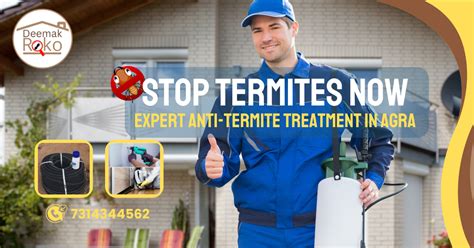 Stop Termites Now Expert Anti Termite Treatment In Agra Homes