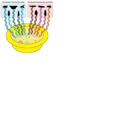 Quantifying Ecosystem Service Provider Interactions Via Bulk Sample Dna