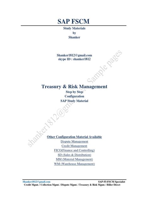 Sap Trm Configuration Guide Pdf Financial Transaction Derivative