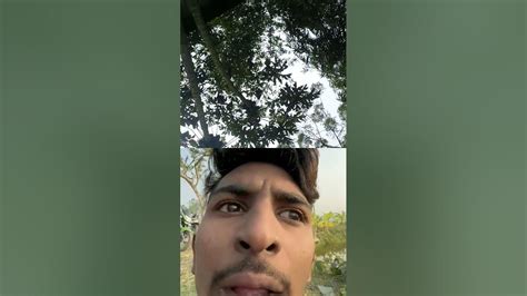 Funny Comedyvideos Comedyshorts Youtube