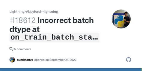 Incorrect Batch Dtype At `ontrainbatchstartend` Using 16 Mixed