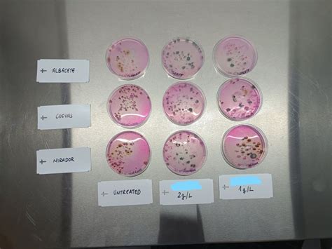 Emilio Fernandez Naranjo On Linkedin In Vitro Test To Check The
