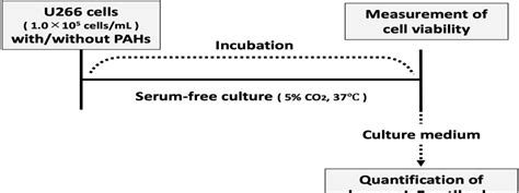 Figure 1 From Analysis Of Immunoglobulin E Antibody Production In The Human Cell Line By
