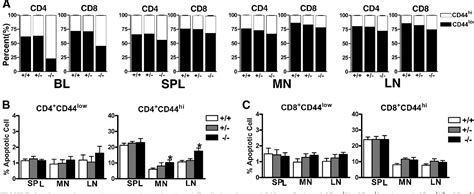 Figure 3 From Thymocyte Egress In Regulating Mst1 A Cell Intrinsic Role