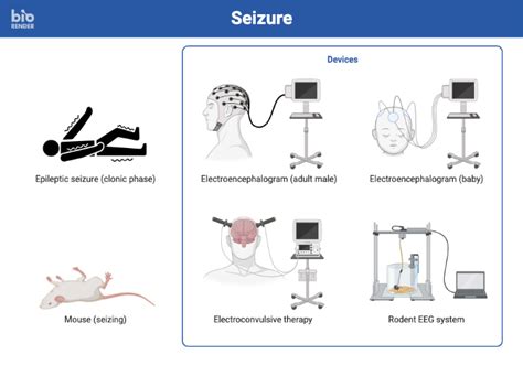 Icon Pack Seizure Biorender Science Templates