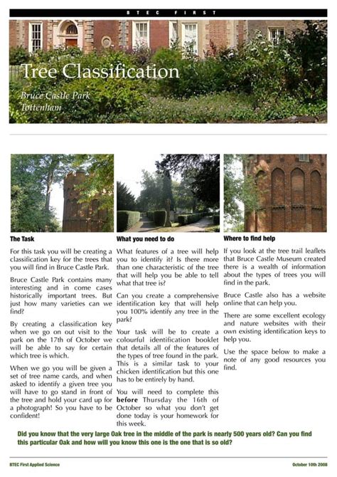 Tree Classification Pdf