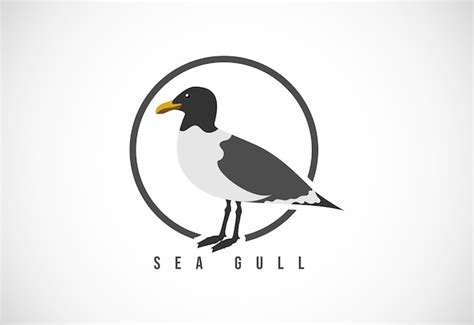 Premium Vector Sea Gull In A Circle Sea Gull Logo Design Template