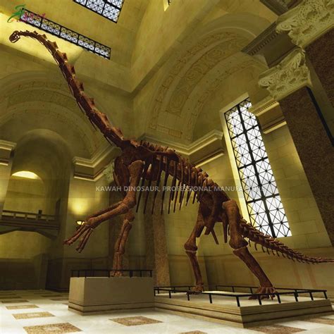 Brachiosaurus Skeleton