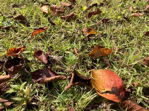 人生の目的地を決めるということ サンフェスタいしかわ 好々爺の日々是好日