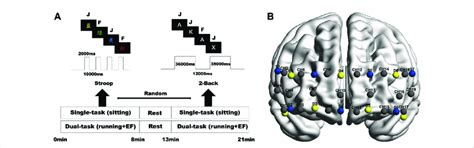A Experimental Procedure And Task Protocols B Fnirs Probe Settings Download Scientific