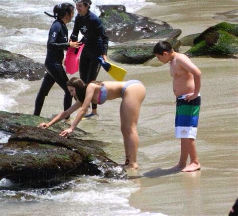 Pesona Toket Gede Toge Buah Dada Payudara Buah Dada Bunga Citra Lestari Toket Bcl Nampak