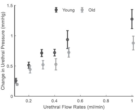 Age Changes Neural Regulation Of The Bladder And Urethra Danziger Lab
