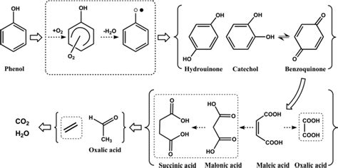 Possible Pathways For The Photocatalytic Degradation Of Phenol