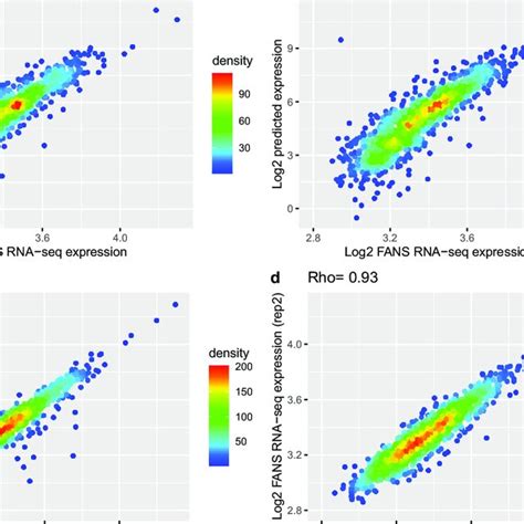 Validation Of Reconstructed Gene Expression Patterns With Reporter Gene