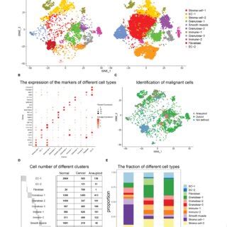 A Clustering Results After Integration Of The Datasets Of Normal Download Scientific Diagram