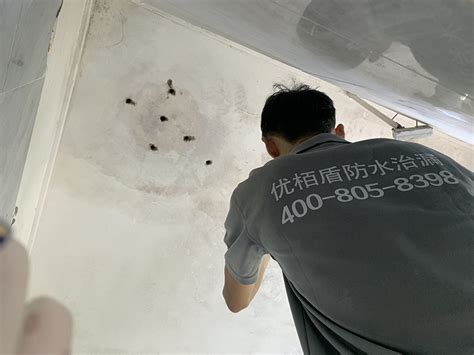 天花板防水补漏 其他部位防水 优栢盾（广州）屋顶屋面卫生间防水堵漏补漏技术 专业防水补漏公司 防水治漏维修实干家