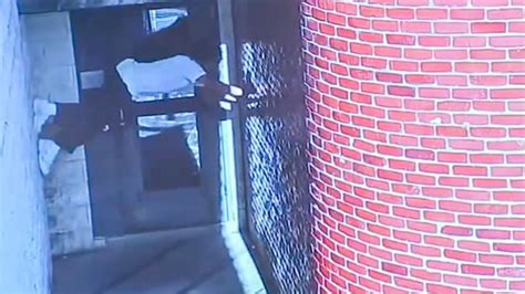 wild inmate escape from county jail in my area