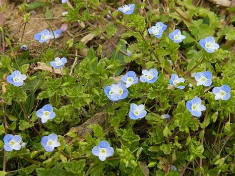 J Michael Considine Jr On Linkedin Have A Business You Have Disputes The International