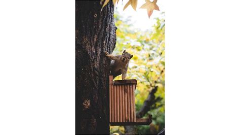 Easily Optimize Deep Learning With 8 Bit Quantization By Stephanie Maluso Openvino Toolkit