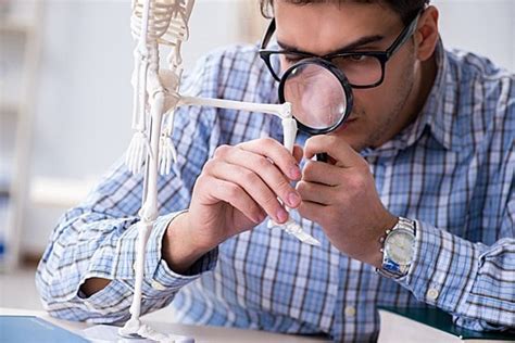 طالب طب صور الخلفية، 6595 الخلفية المتجهات وملفات بسد للتحميل مجانا