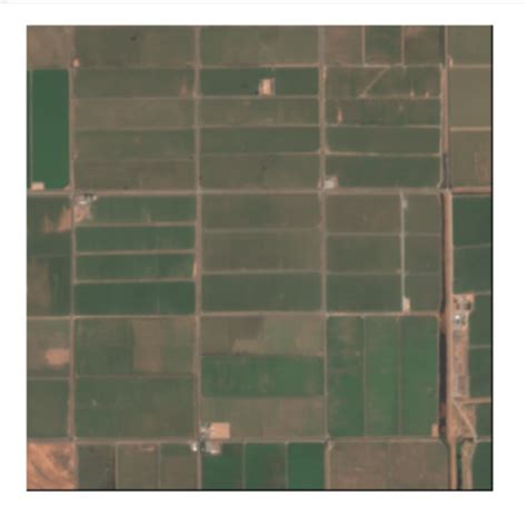 Field Boundary Detection In Satellite Imagery Using The Sam2 Model Towards Data Science