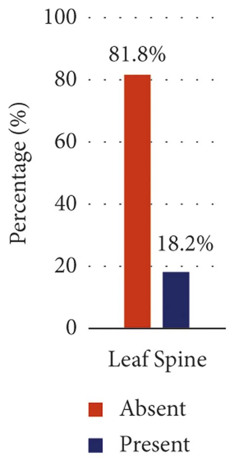 The Percentage Range Of Variation In Morphological Leaf Parameters A