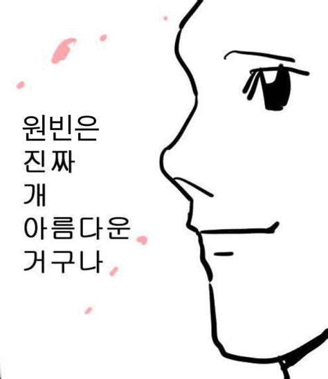 [잡담] 길거리에서 쓰레기 줍는 남자 원빈 인스티즈 Instiz 연예 카테고리
