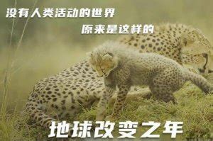 十个底层人的纪录片 带你走进底层人民的痛苦与挣扎 排行榜123网