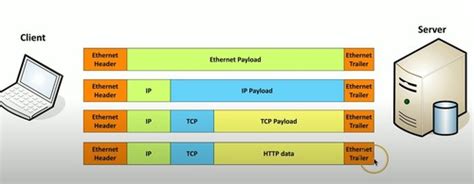 Comptia Network Intro To IP Flashcards Quizlet