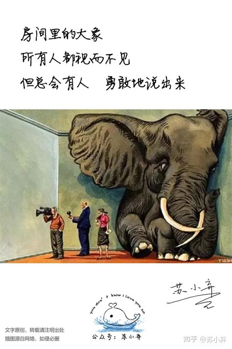 房间里的大象 我只问，你想到了啥？ 知乎