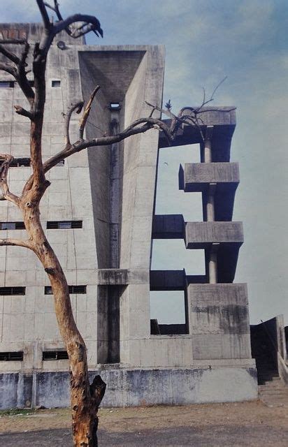 A Tree In Front Of A Concrete Building