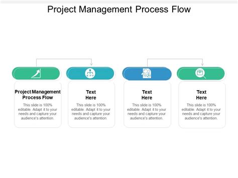 Project Management Process Flow Ppt PowerPoint Presentation Pictures Example Cpb