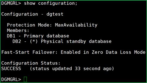 Oracle19c Dataguardoracle 19c Dataguard Csdn博客
