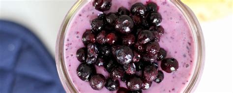 Mainely Dish Creamy Blueberry Shake Cooperative Extension Food