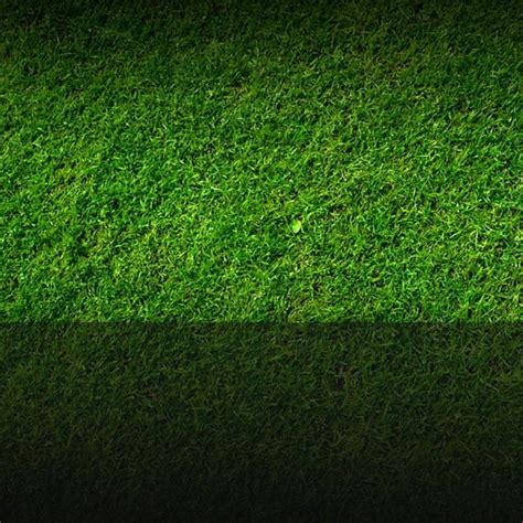 Free Green Grass PowerPoint Background Powerpoint Background Templates Powerpoint Background