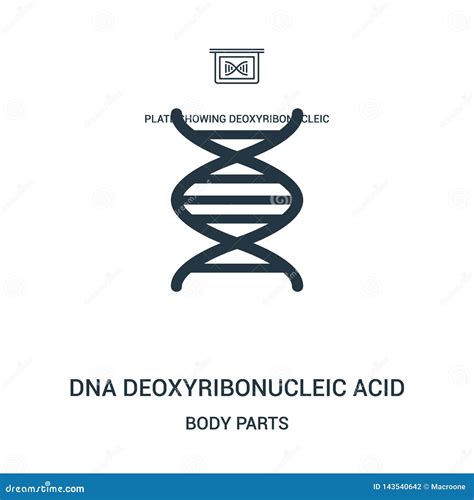 Dna Deoxyribonucleic Acid Icon Vector From Body Parts Collection Thin Line Dna Deoxyribonucleic