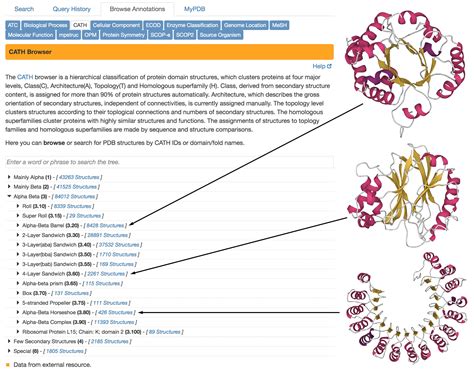 Pdb 101 Learn Guide To Understanding Pdb Data Protein Hierarchical