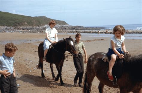 Epson V600 Epson Scan Ice Image Distortion On Edges Help R