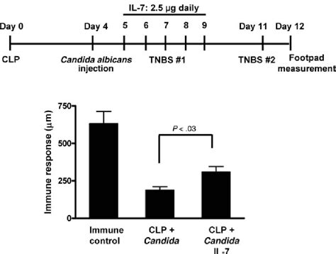 Fungal Sepsis Semantic Scholar