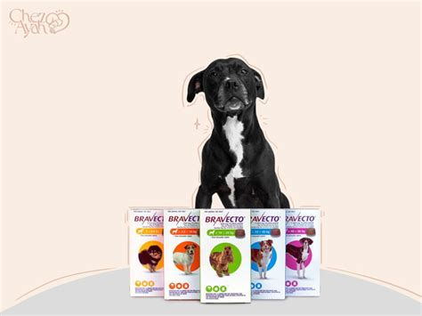 Bravecto 12 Weeks Of Ultimate Flea And Tick Protection Chez Ayah