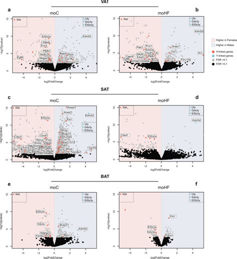 Maternal High Fat Diet Programs White And Brown Adipose Tissue Lipidome