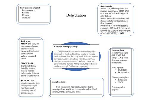Dehydration Urinary System At Oliver Howell Price Blog