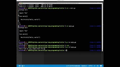 Golang Webprogramming Striversity 0001 Go Lang Teaser Youtube