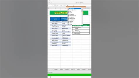 Count If Function In Excel Shorts Youtubeshorts Excel Exceltutorial Trending Viral Youtube