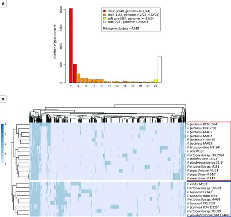 Pangenome Analyses A Bar Graph Showing The Number Of Gene Clusters Download Scientific