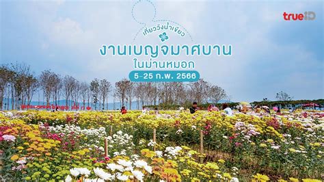 งานเบญจมาศบานในม่านหมอก วังน้ำเขียว 5 25 ก พ 2566
