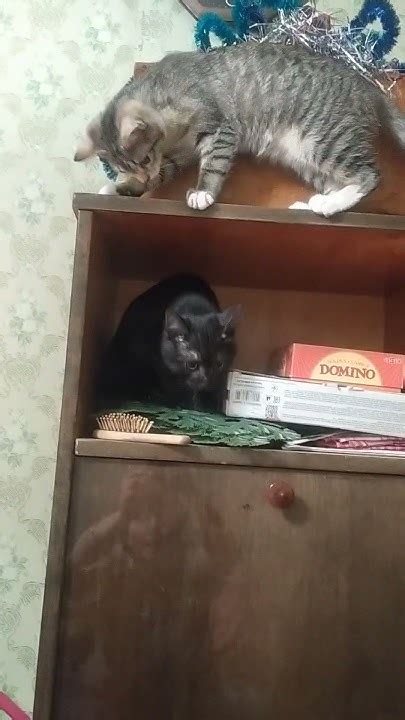 Что только они не придумают Youtube